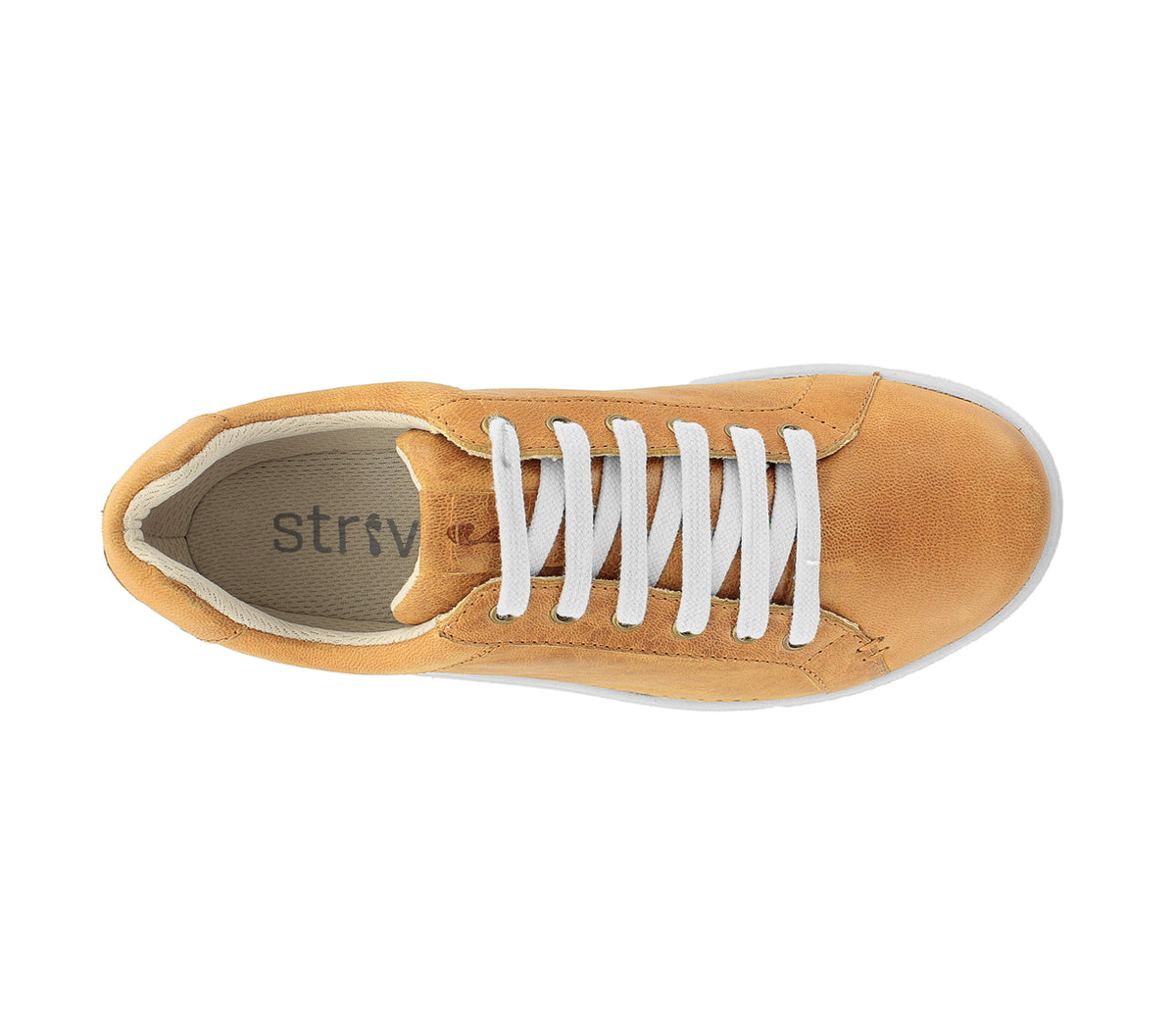 Strive Dakota Lace-Up Shoe – JR Shoes